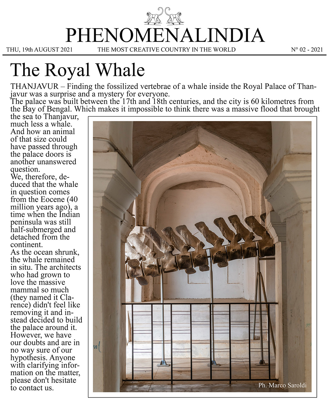Photography: The Royal Whale by Marco Saroldi