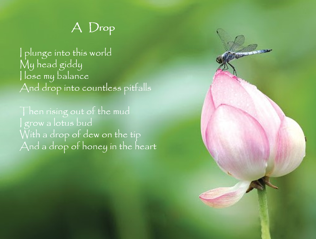 Poetry: A Drop by Anandi