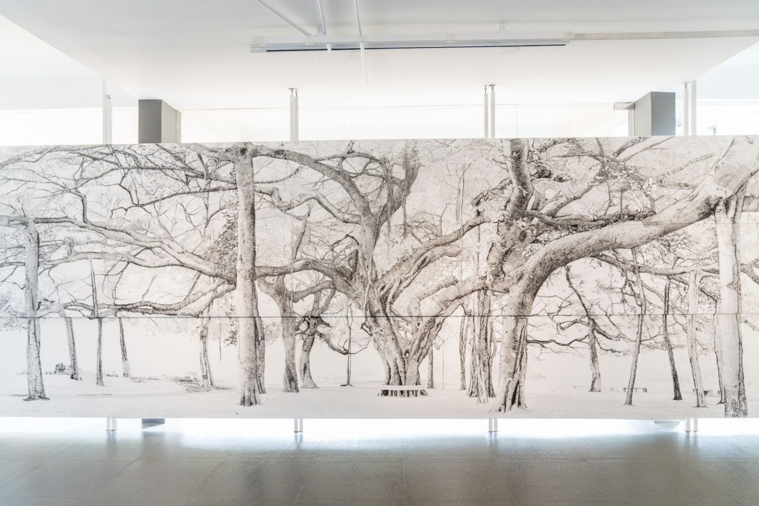 Exhibition photos Cedric Bregnard “Roots From the Sky”