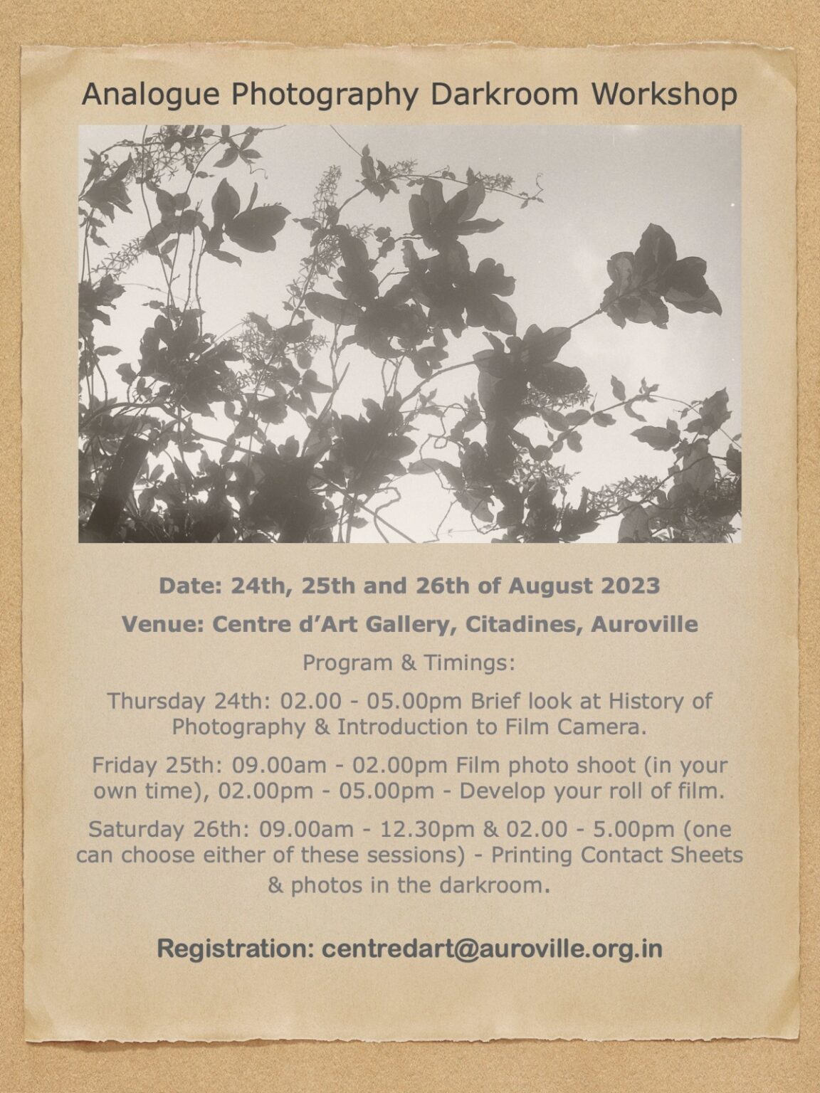 Analogue Photography Darkroom Workshop