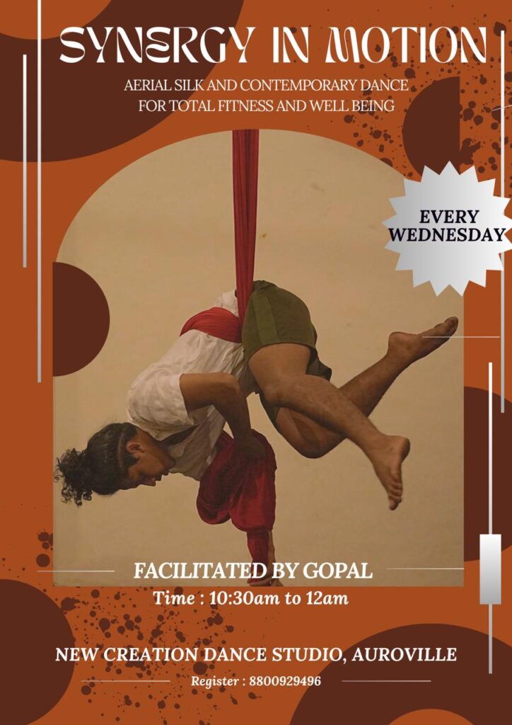 Synergy in Motion: Aerial Silk and Contemporary Dance for Total Fitness ...
