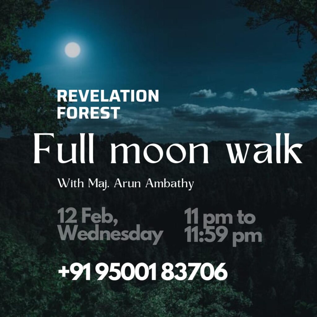 Full Moon Walk